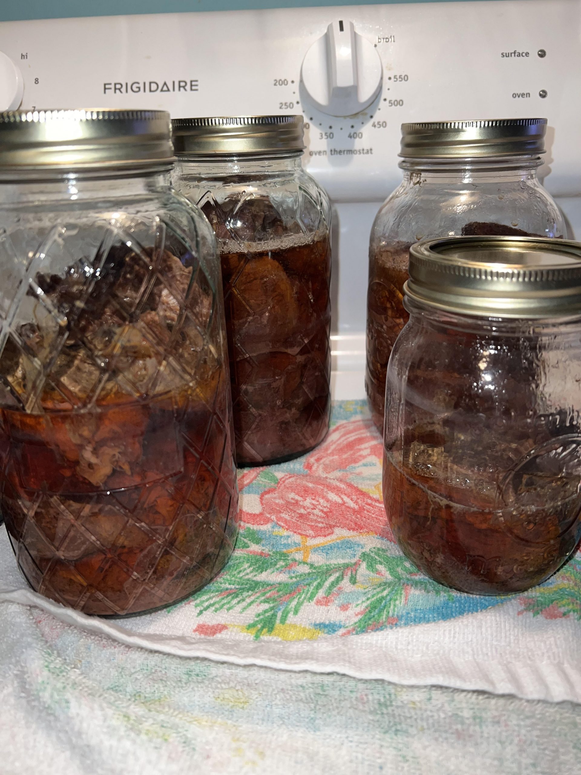 Canning Venison with My New Digital Pressure Canner