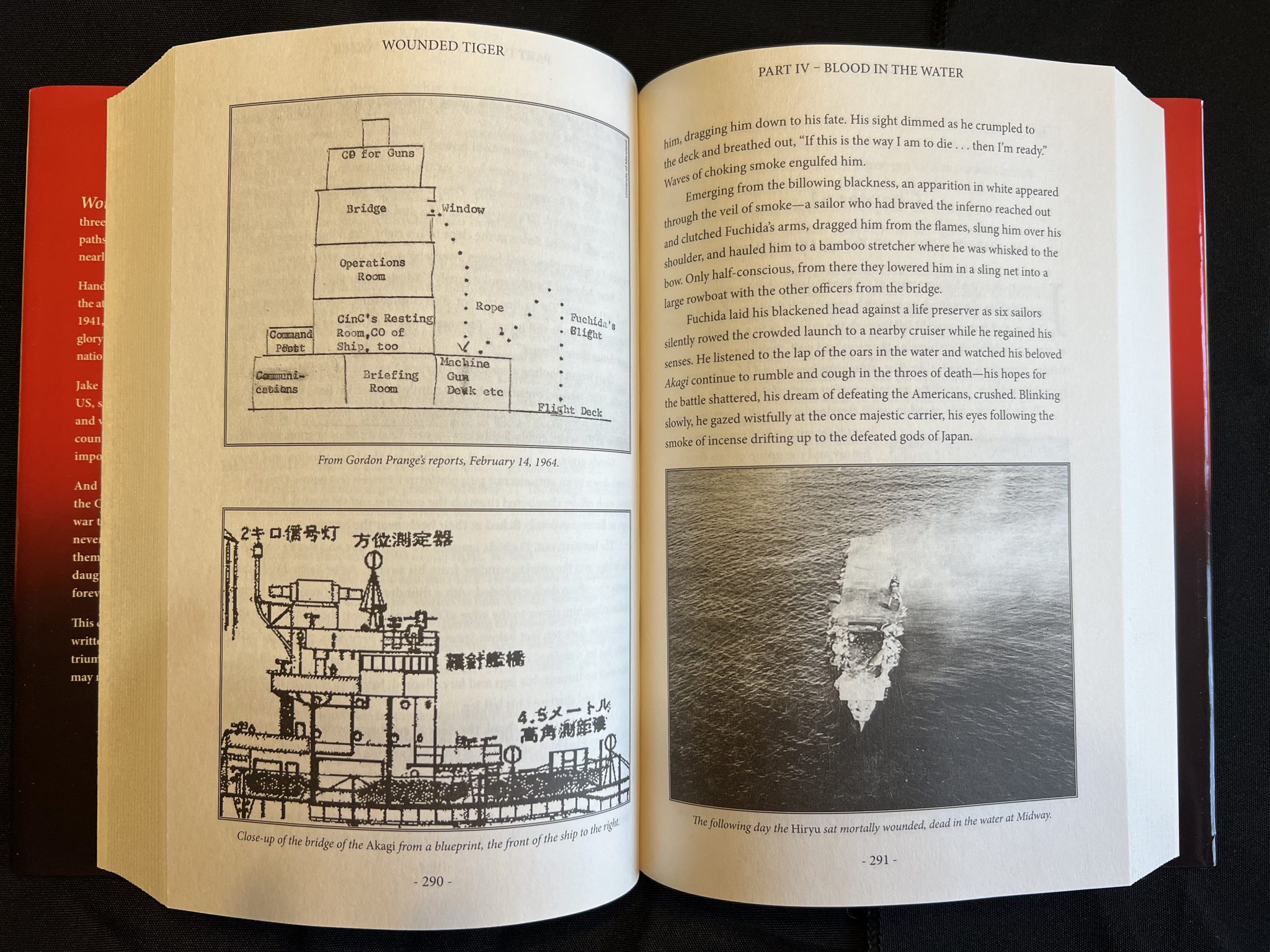 Wounded Tiger Book Review