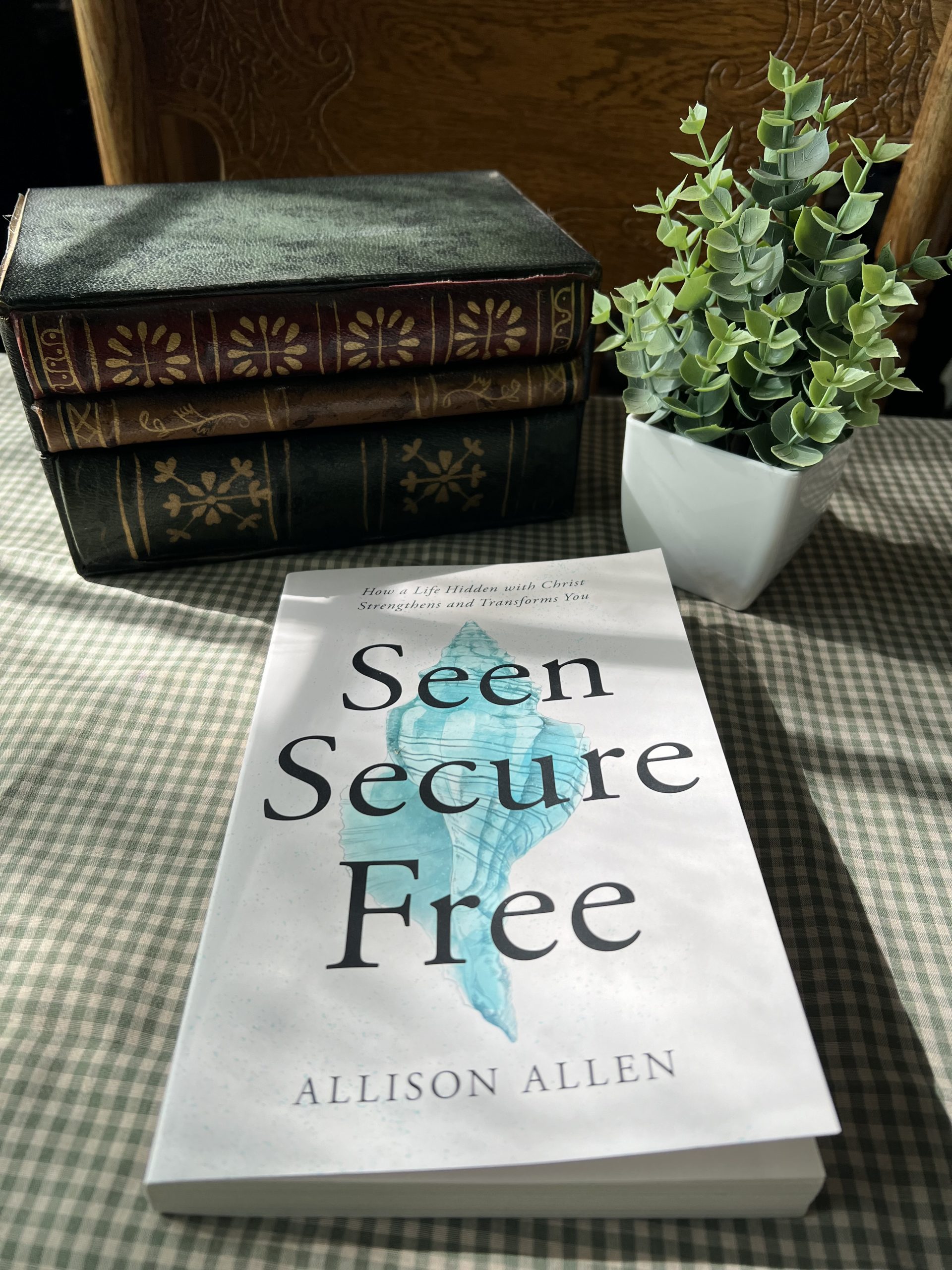 Seen, Secure, Free Book Review