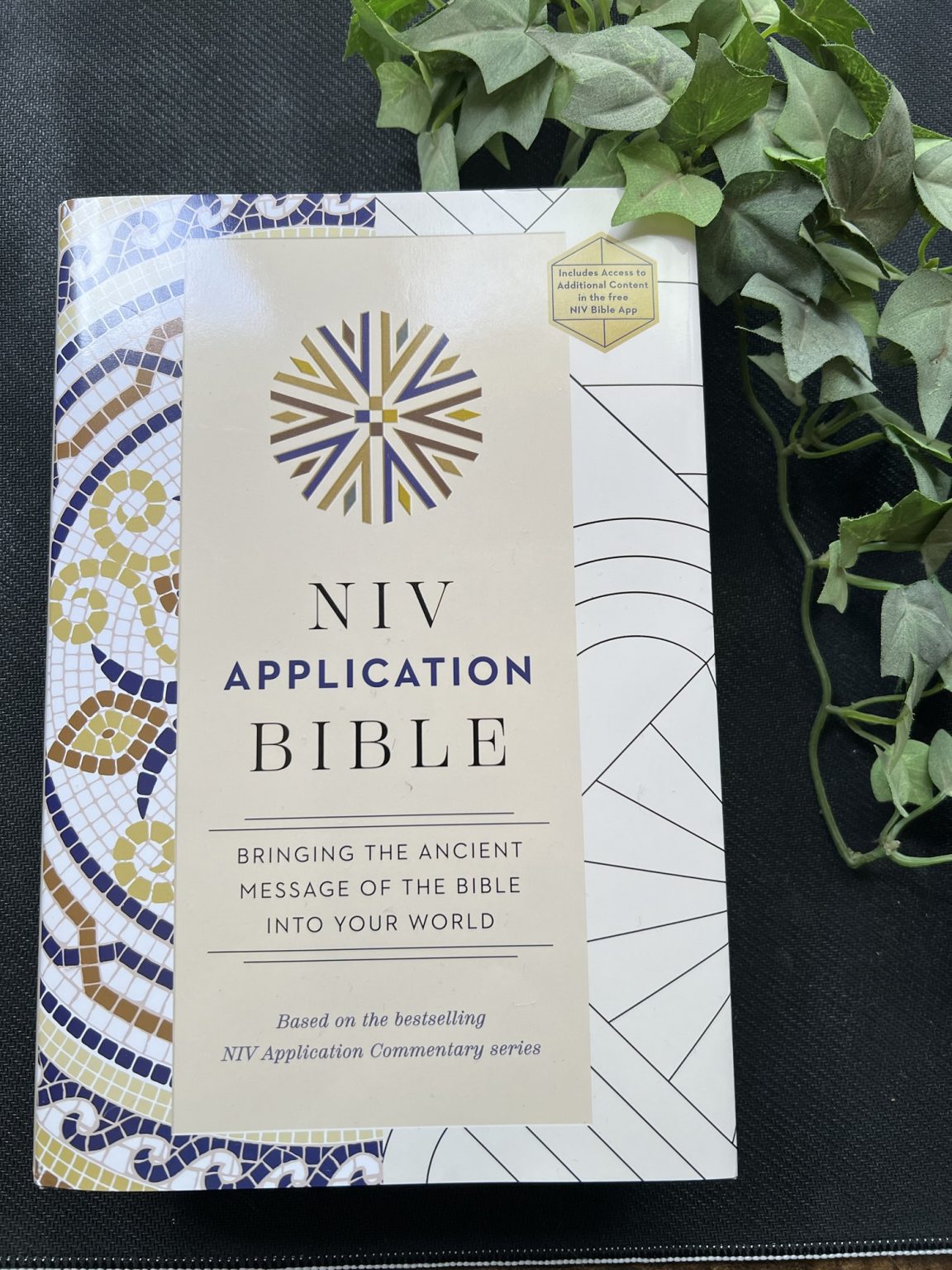 NIV Application Bible Review