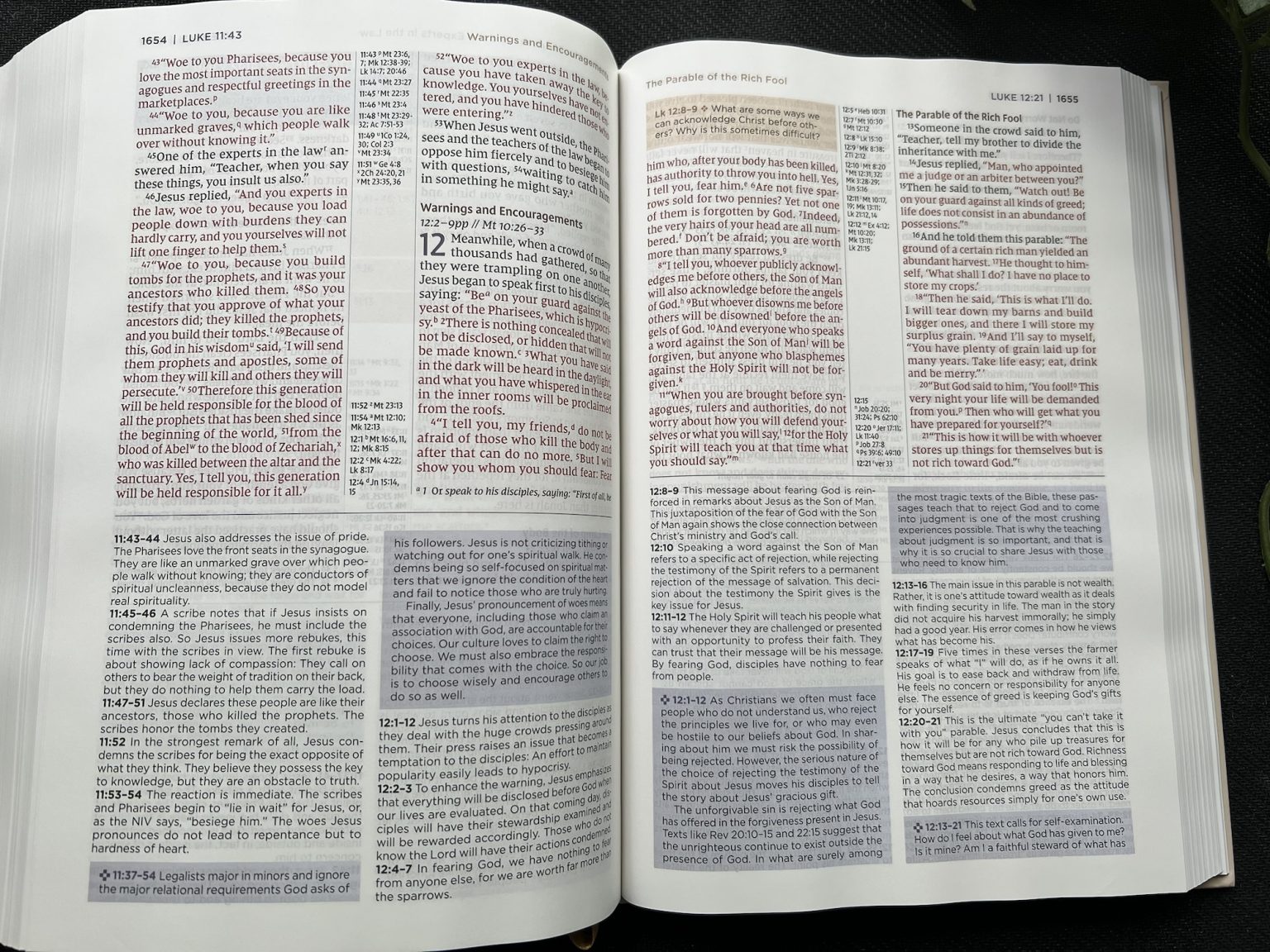 NIV Application Bible Review